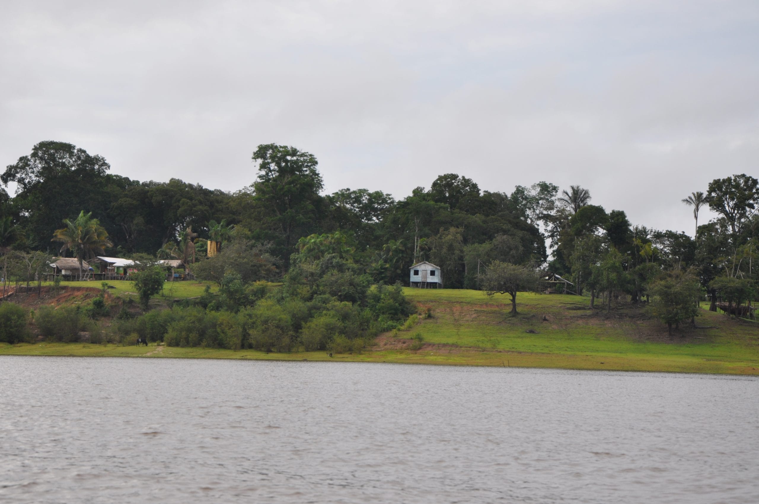 Floresta Estadual (FES) Tapauá, no interior do Amazonas, registra ...