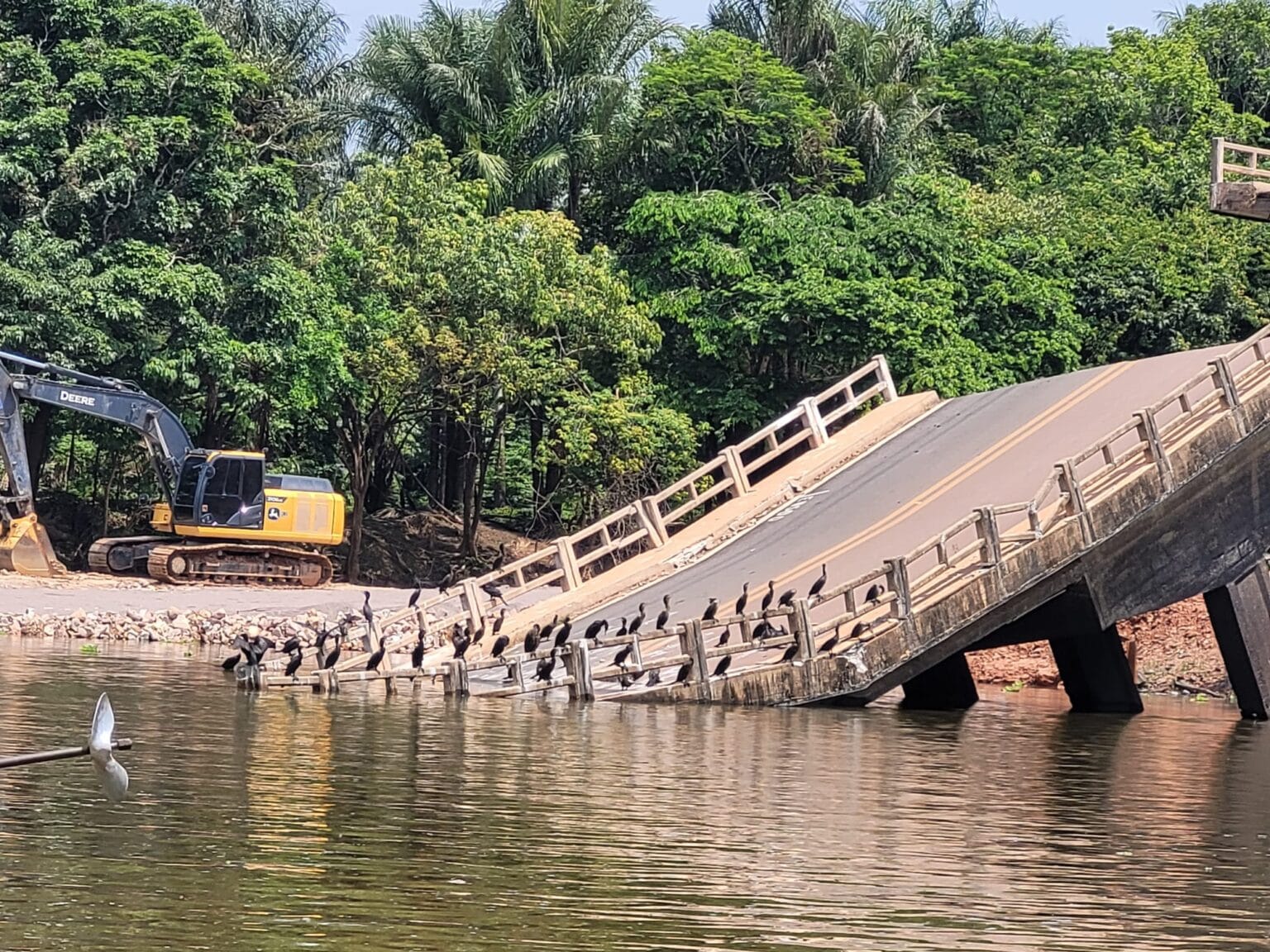 Maior tragédia da BR-319 completa um ano sem respostas e com soluções ...
